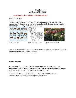 Darwin Worksheets – TheWorksheets.CoM – TheWorksheets.com