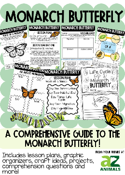 Life Cycle Of A Monarch Butterfly Worksheet A Crafty Chick: Brownie
