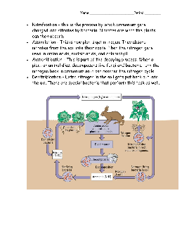 Nutrient Worksheets – TheWorksheets.CoM – TheWorksheets.com