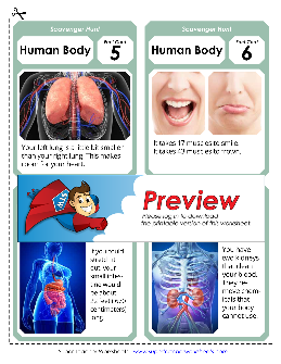 Organ Worksheets – TheWorksheets.CoM – TheWorksheets.com
